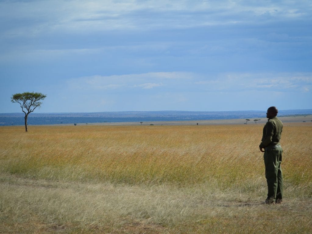 The Greatest Wildlife Stage on Earth: 13 Facts about Kenya's Natural World