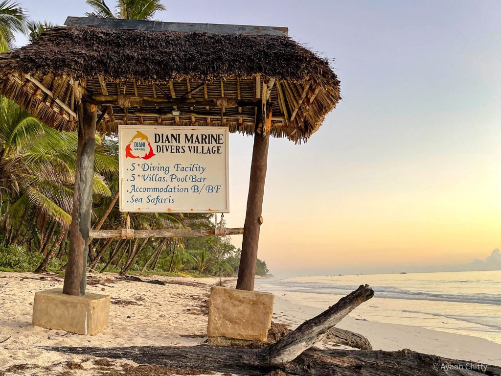 Scuba Diving in Diani, Kenya - the Best Beach in Africa!